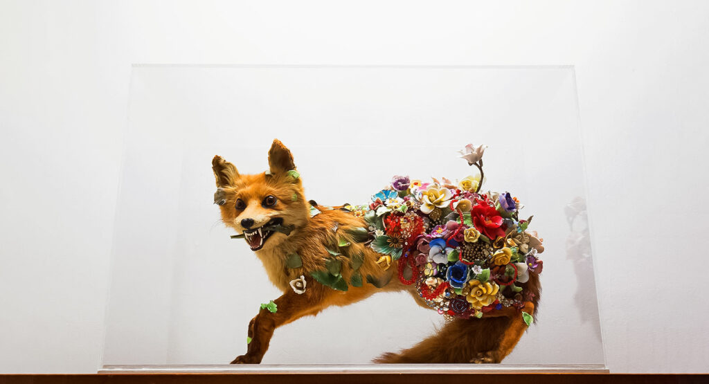 Angela Singer new website coming soon